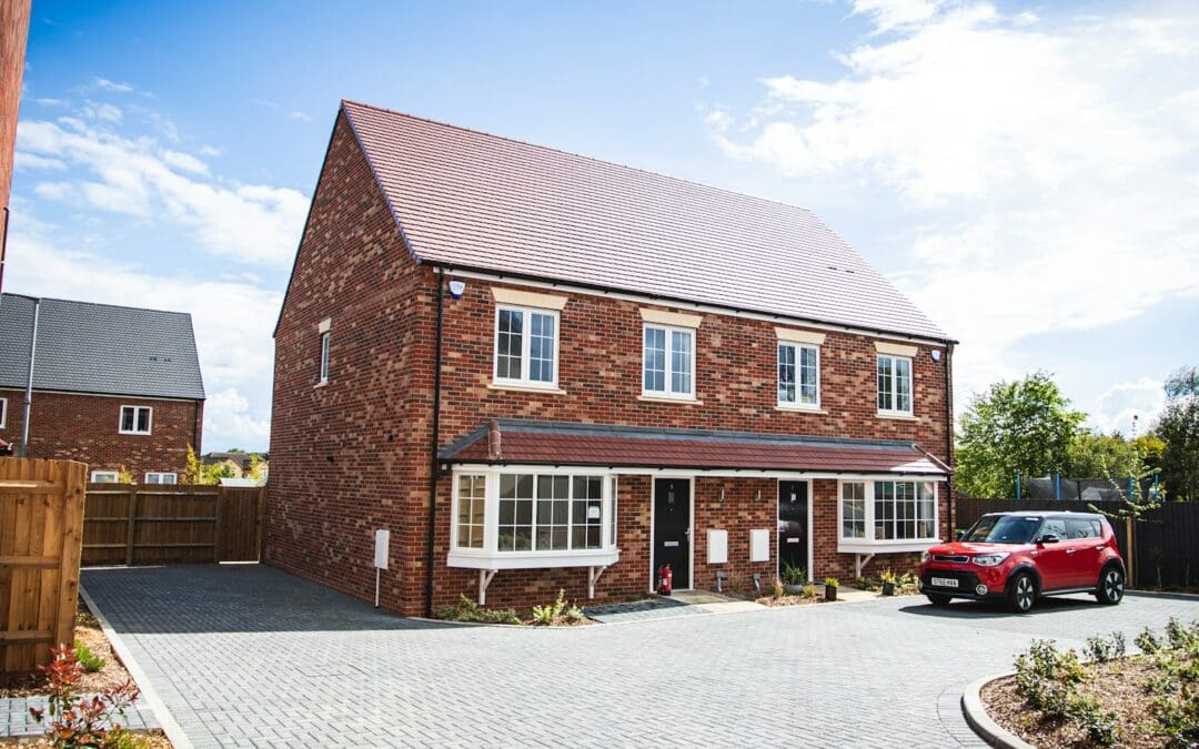 Early Signs of Dry Rot | How to Detect Dry Rot in Your Home